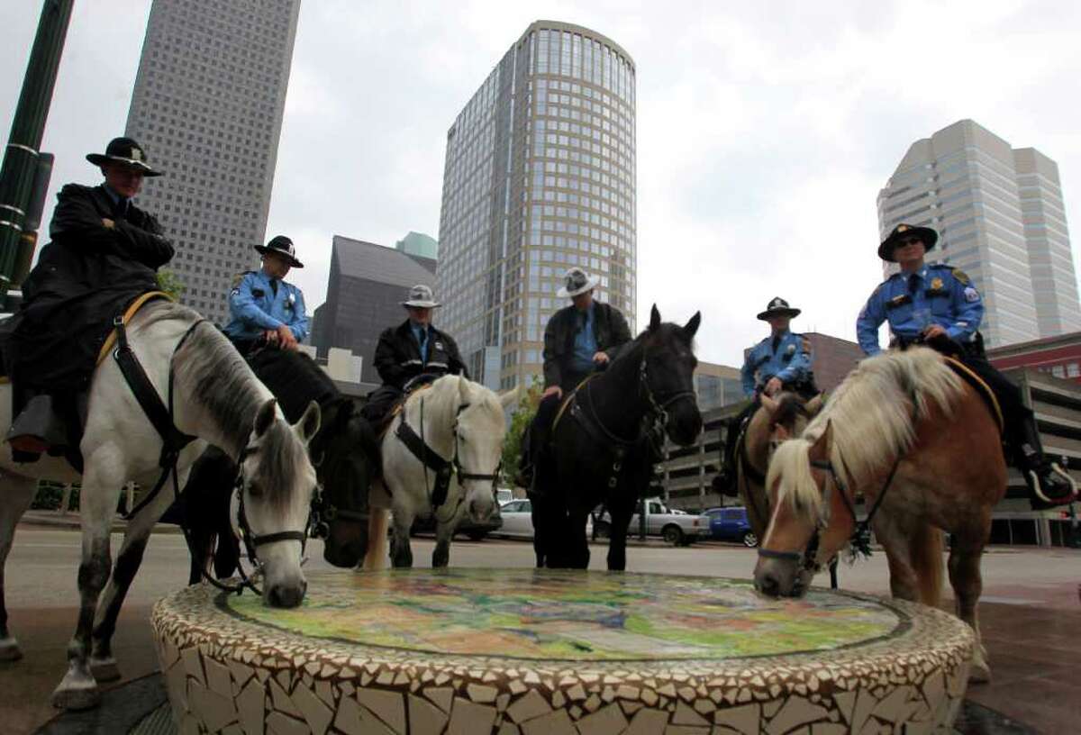 HPD offers naming rights to horses
