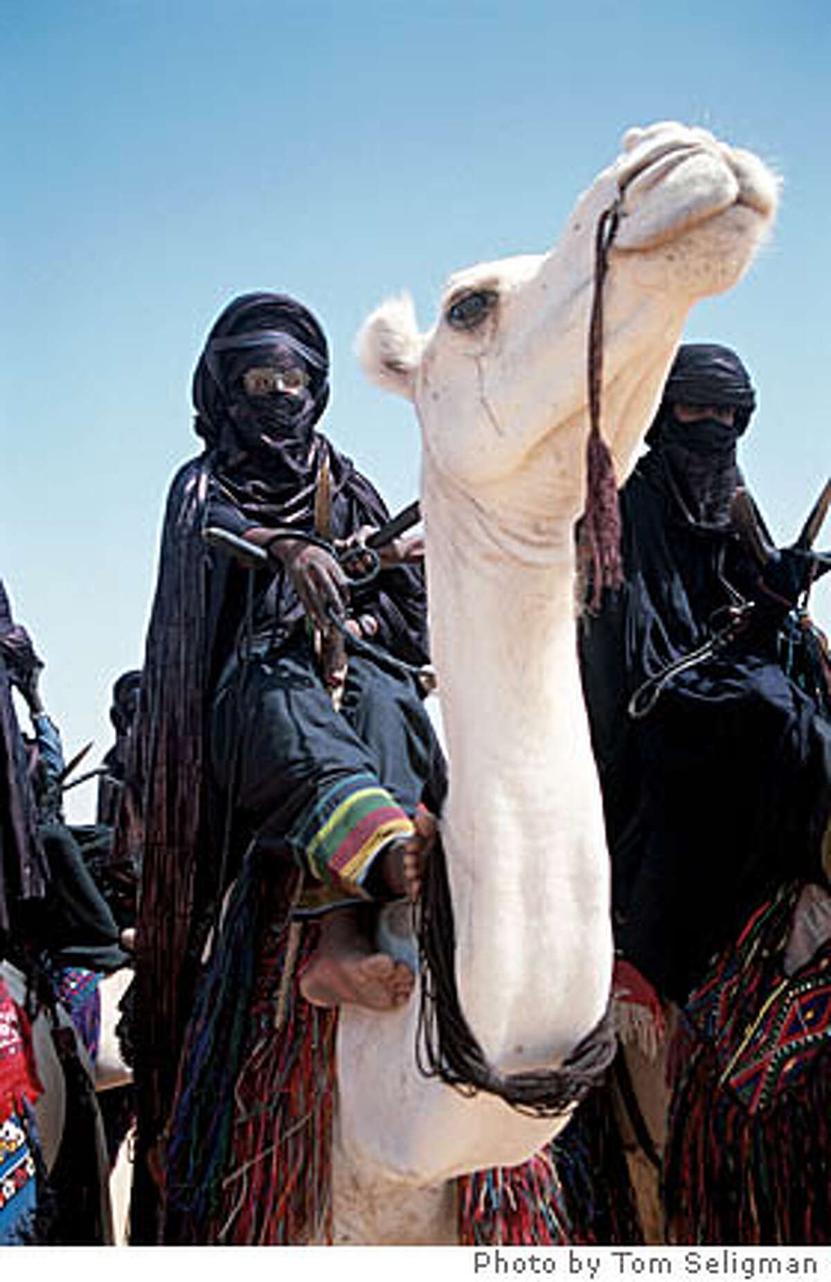 The soul of the Sahara, brought alive in regal display