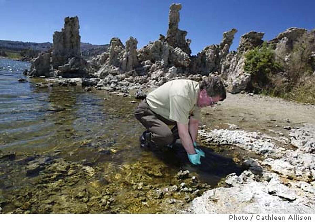 From outer space to inner Earth / Microbe hunter digs for clues to ...