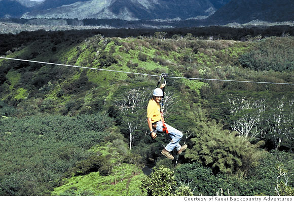 Aloha Friday / Zipadeedoodah!