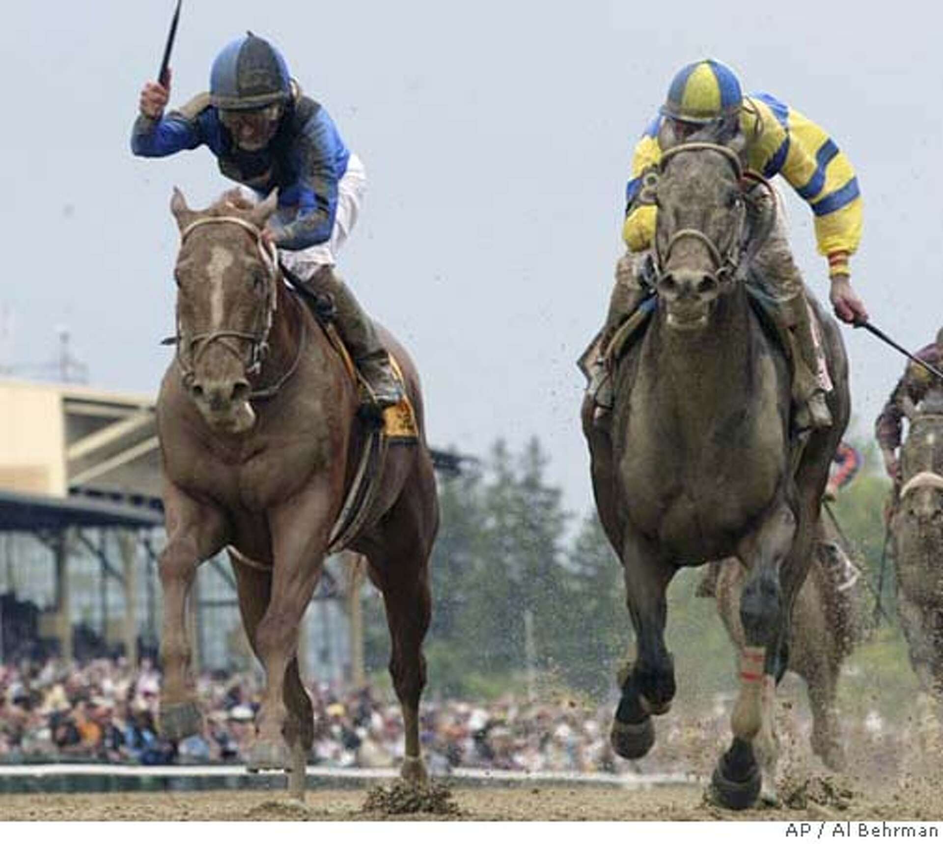 THE PREAKNESS / Curlin comes on for jewel of a win / Favorite Street ...