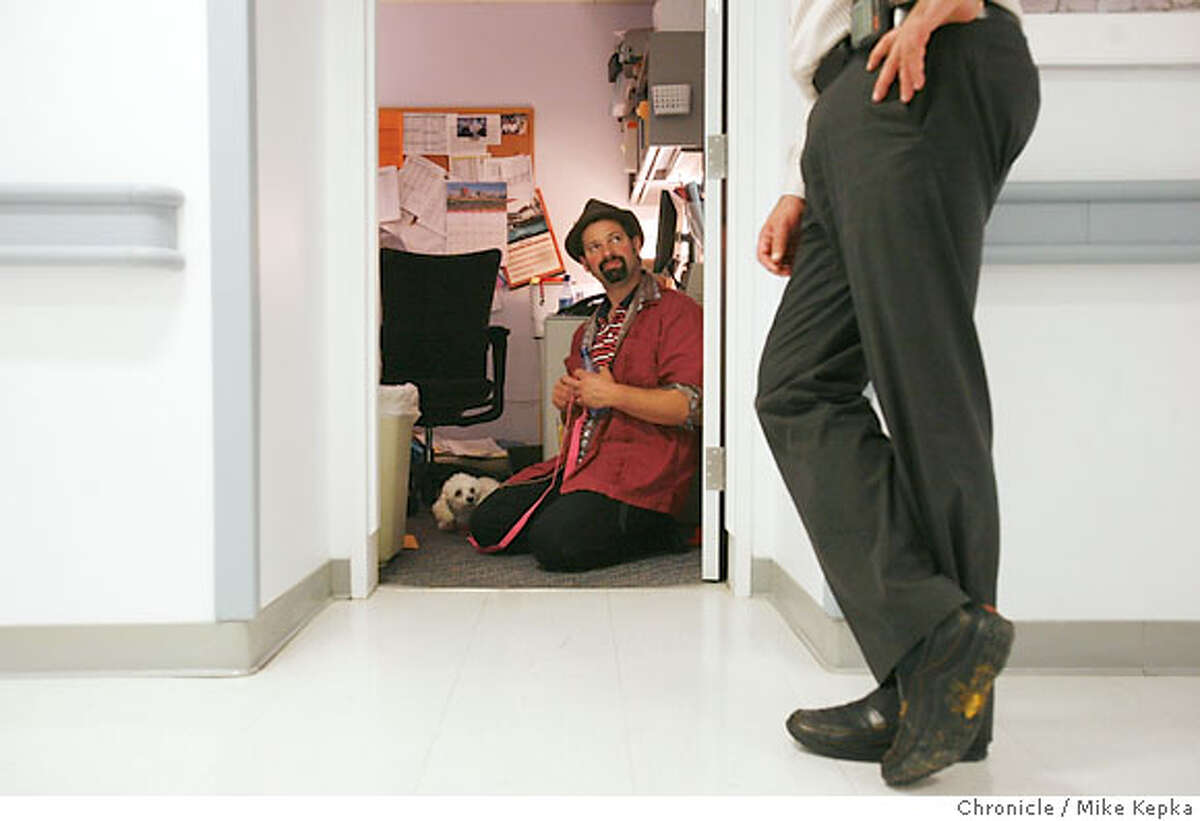 UCSF's 15-pound therapist / Izzy the poodle brings joy to patients who ...