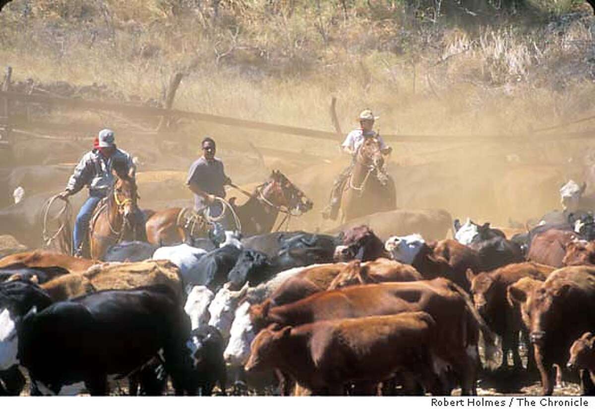 DESTINATION HAWAII / Maui's upcountry yields its splendors / Fine ...