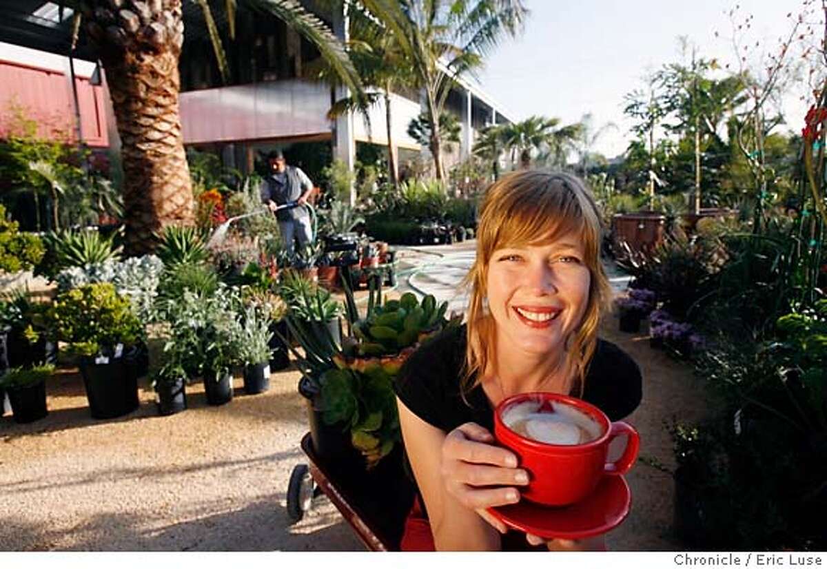 GROWTH STOCK / Flora Grubb Gardens, a nursery and design studio that ...