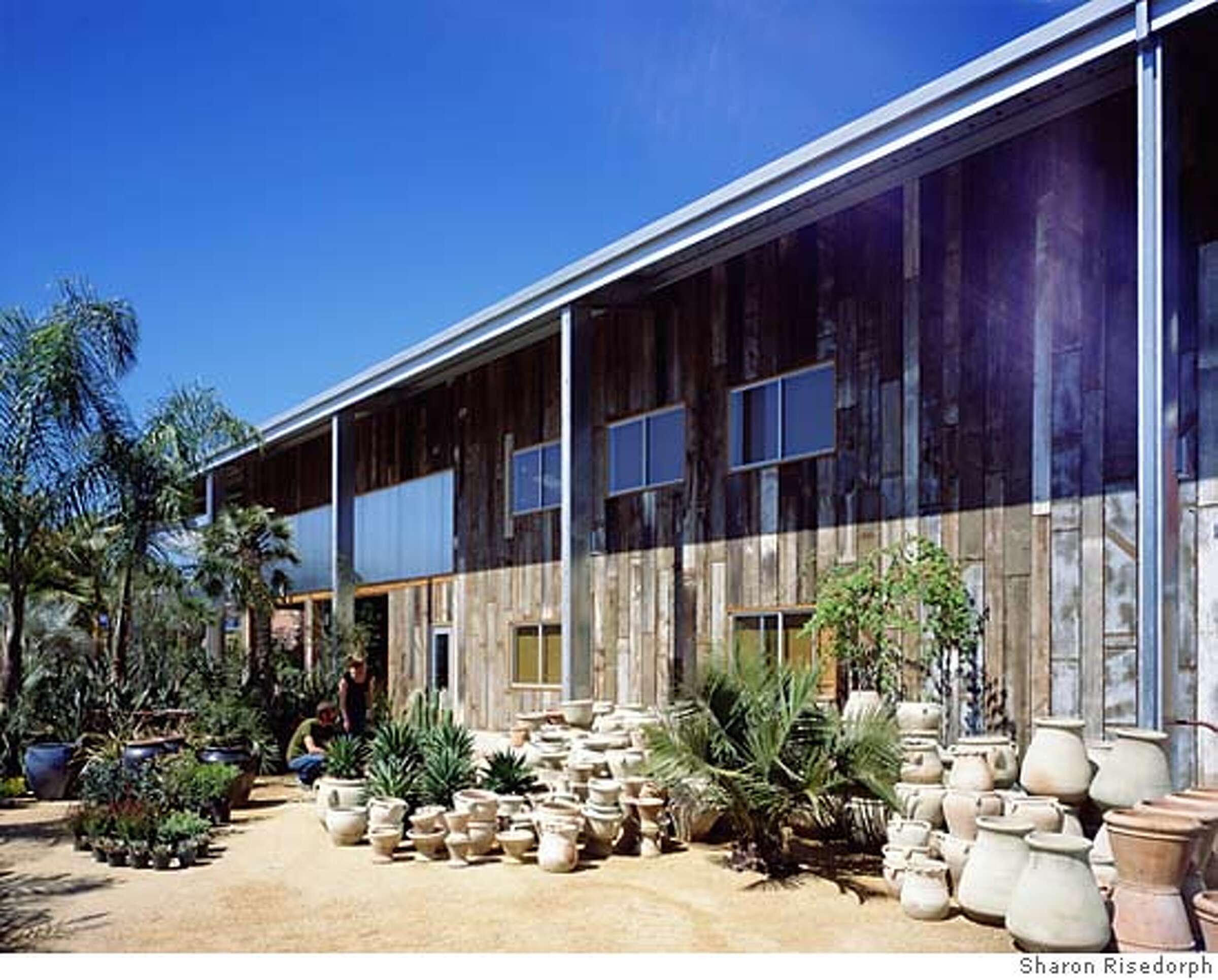 GROWTH STOCK / Flora Grubb Gardens, a nursery and design studio that ...