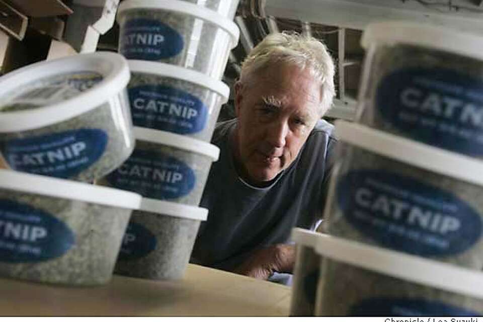 CATNIP: THE BEST BUDS IN THE BUSINESS