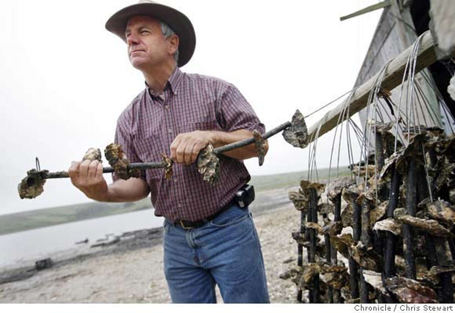 Point Reyes oyster battle -- farmer vs. the Park Service
