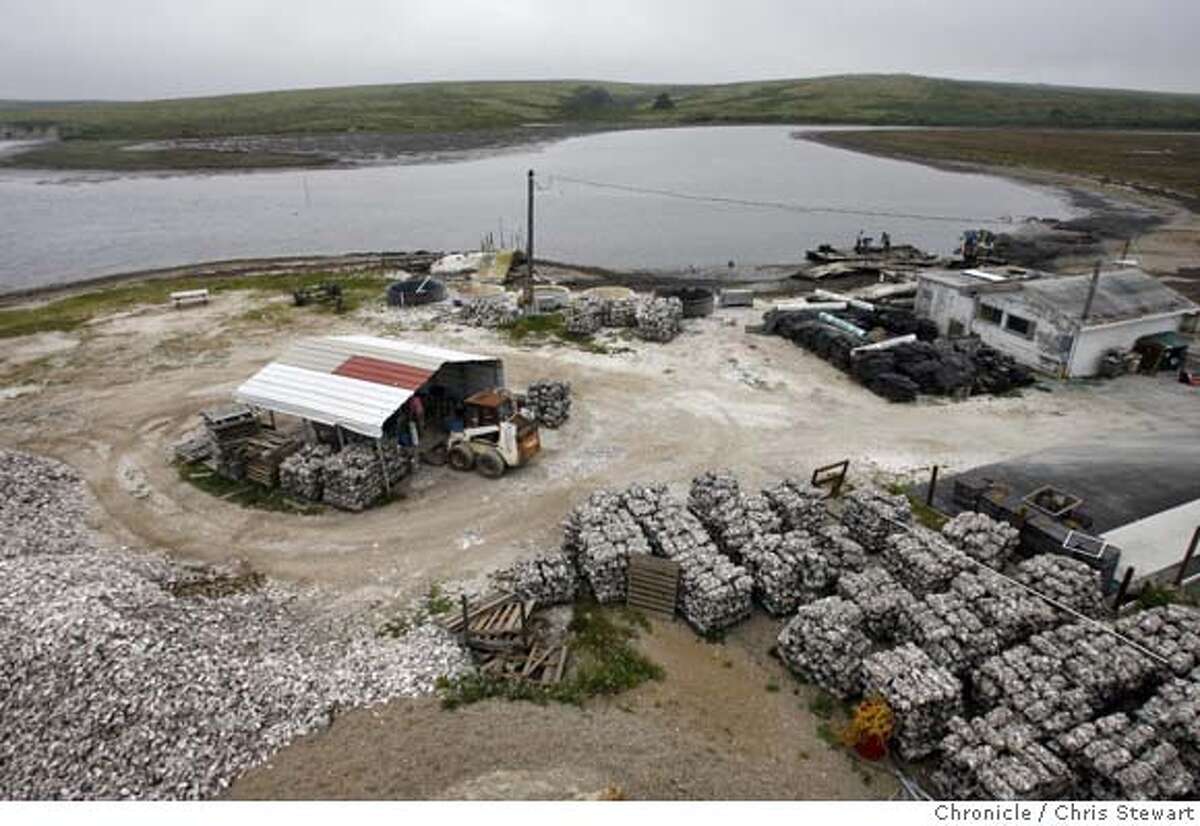 U.S. evicting Point Reyes oyster farmer