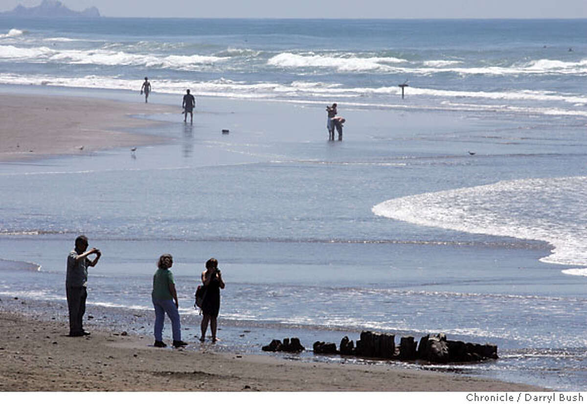 Shipwreck makes a romantic return / Remains of clipper ship appear ...