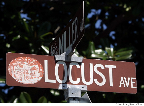 STREET DATE / Locust Avenue, Mill Valley