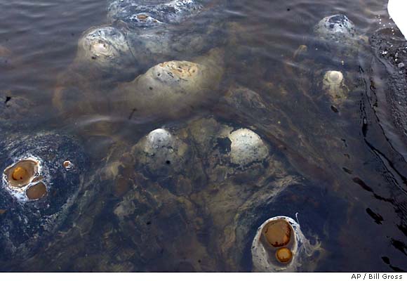 Strange blob grosses out N.J. neighborhood