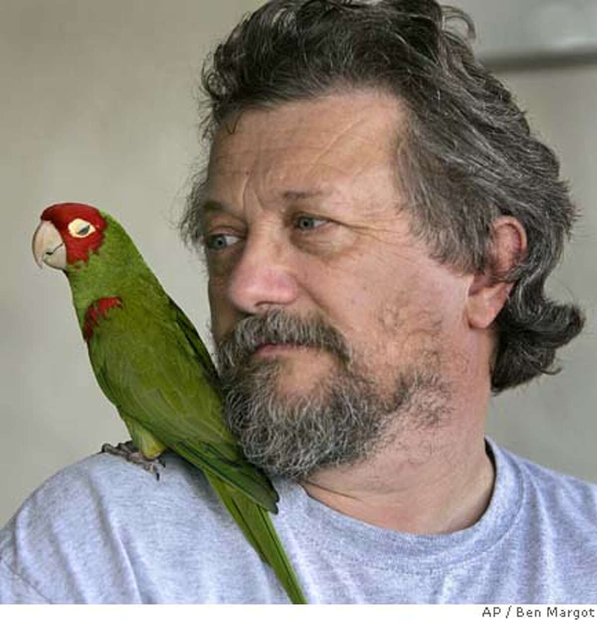 SAN FRANCISCO / Parrots have flown the coop / After cypress felled ...