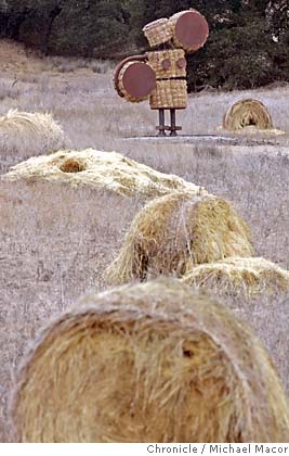 New (straw) man on campus