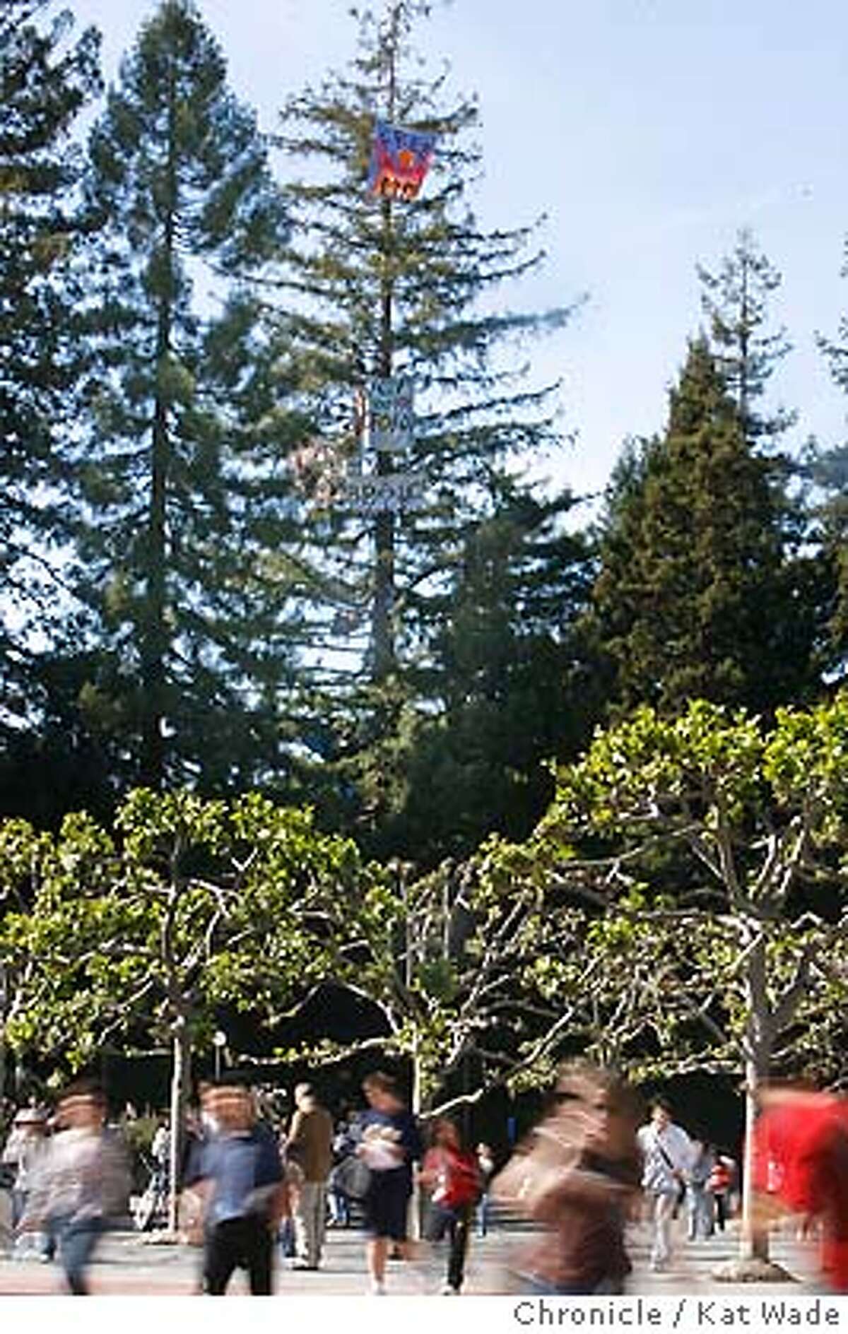 Berkeley student group climbs campus redwoods in protest