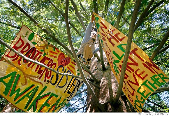 Berkeley student group climbs campus redwoods in protest