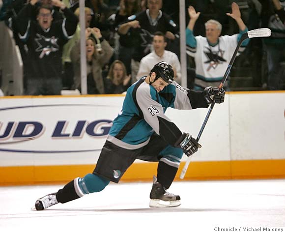 Sharks Photo Gallery