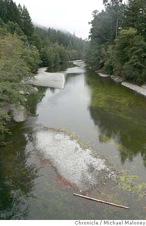 SERIES: NORTH COAST: A Kayak Adventure / HEALING A WATERSHED / Group ...