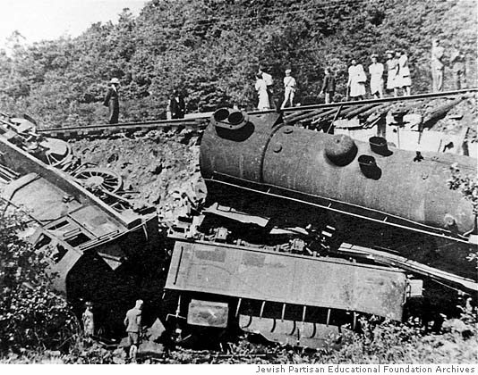 THE JEWISH PARTISANS / UNTOLD STORIES OF JEWISH RESISTANCE DURING THE ...