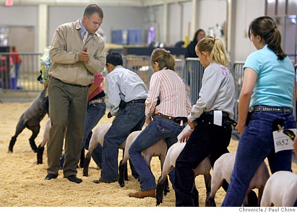 Cow Palace hosts rodeo show