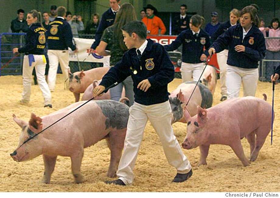 Cow Palace hosts rodeo show - SFGate