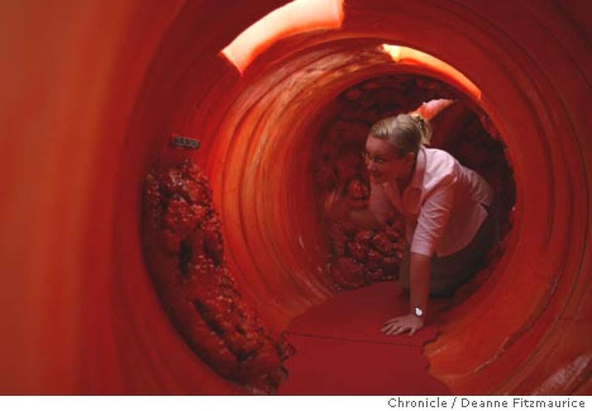 Colossal Colon Tour makes its rounds in S.F. / Visitors absorb ...