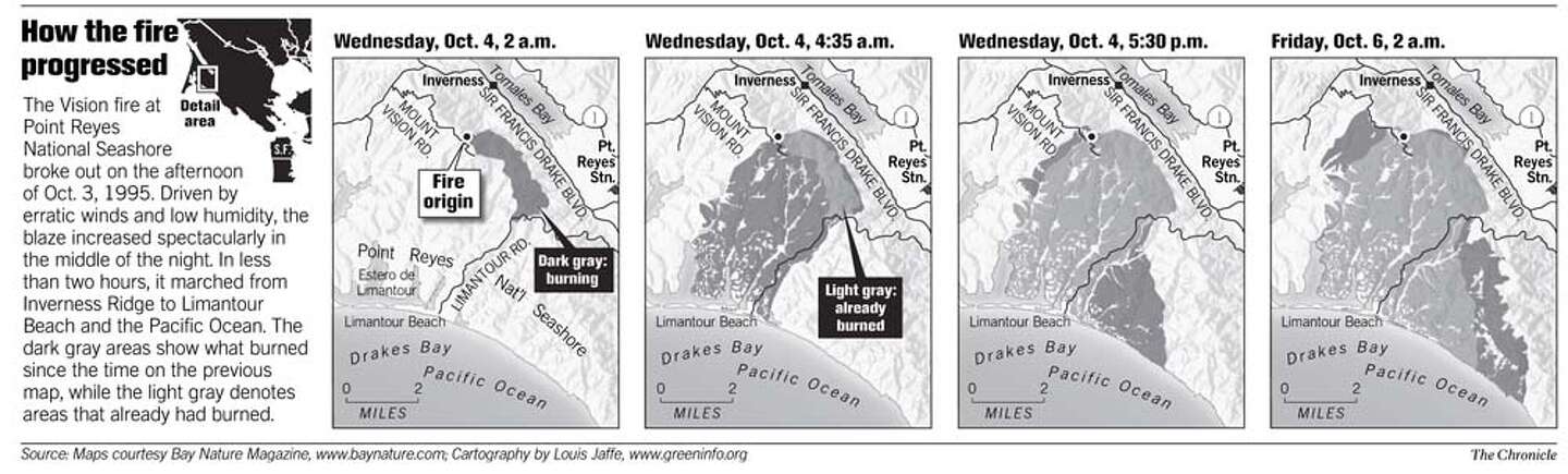 MOUNT VISION FIRE: 10 Years After / Once-ravaged Point Reyes blooming ...
