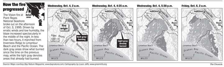 MOUNT VISION FIRE: 10 Years After / Once-ravaged Point Reyes blooming ...