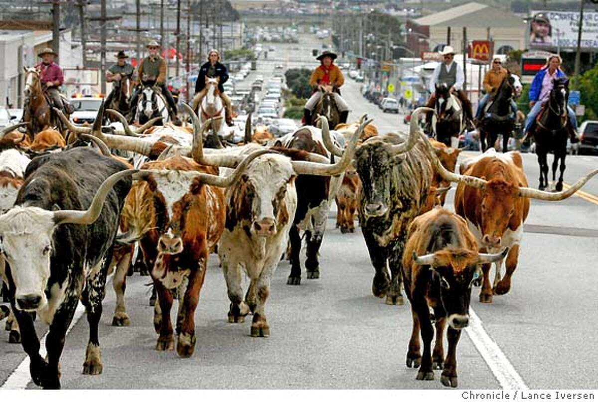 Cattle drive kicks off Cow Palace rodeo