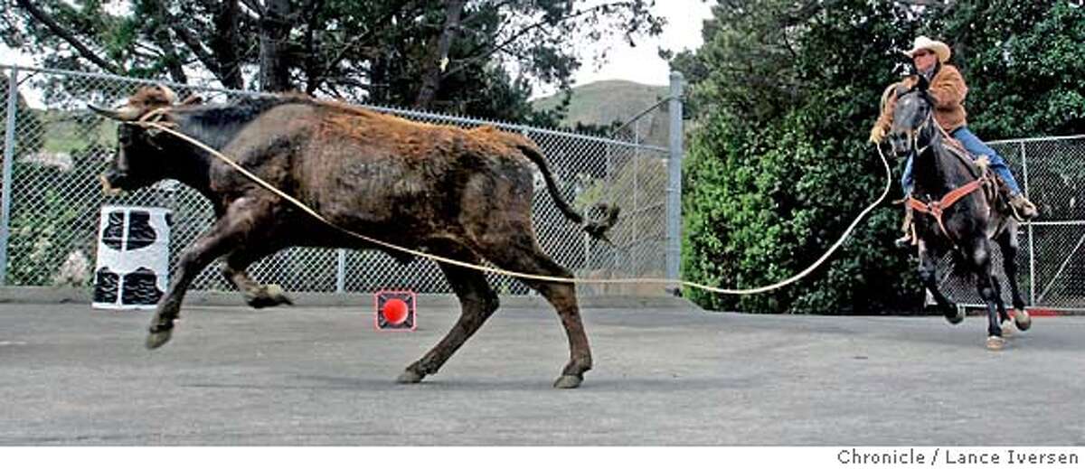 Cattle drive kicks off Cow Palace rodeo