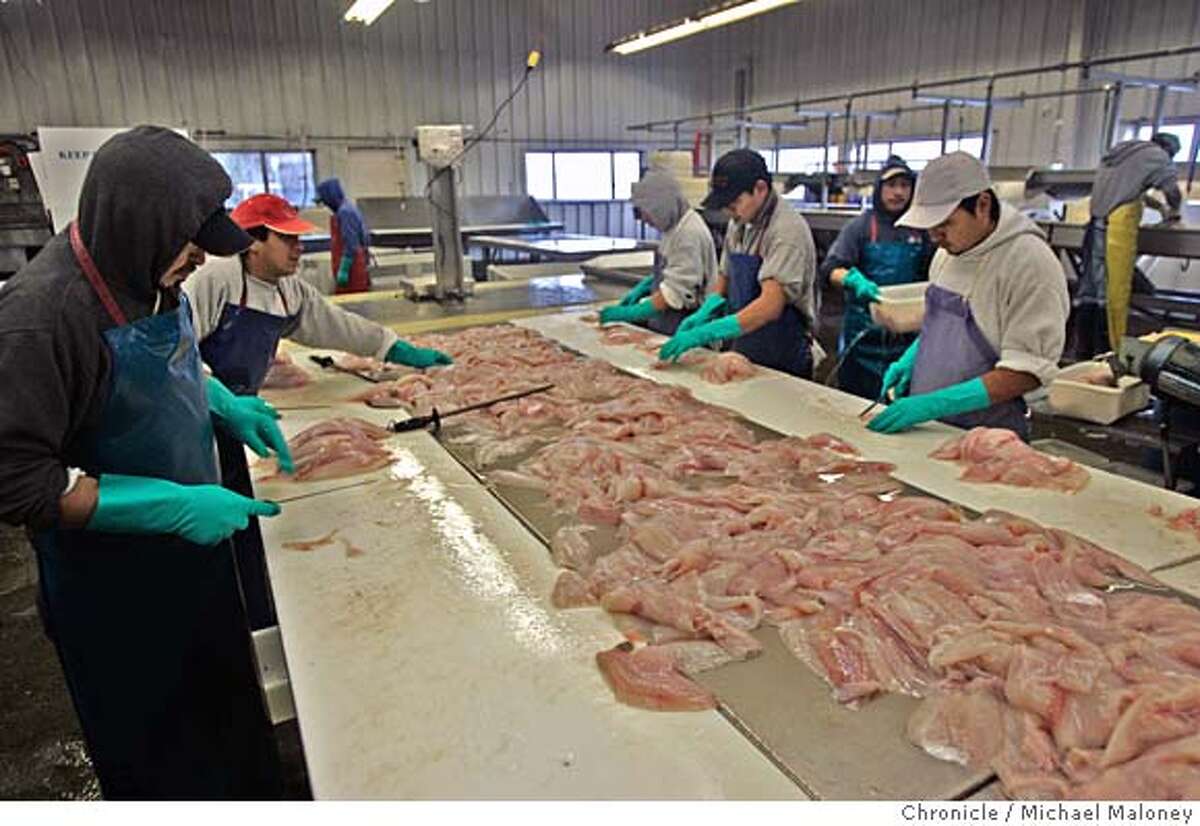 NORTH COAST: A KAYAK ADVENTURE / TRAWLING THE SEAS / After paddling ...