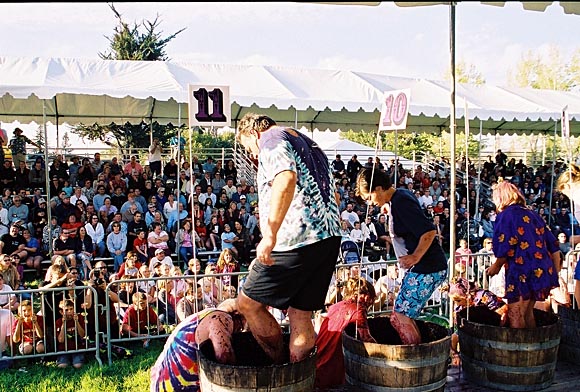 DISH / No stain, no gain -- Sonoma grape stomp leaves mark on wild bunch