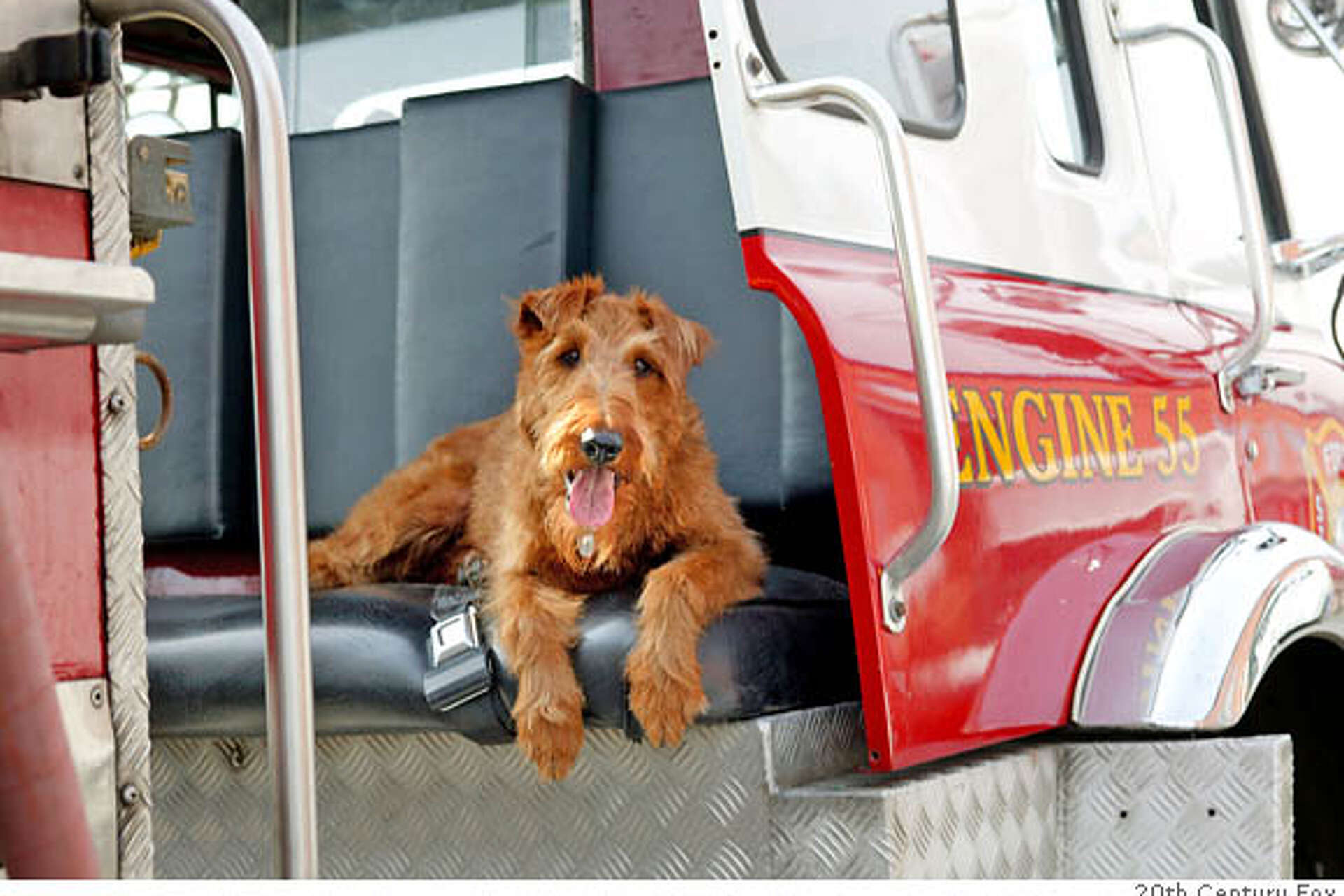 Pampered 'Firehouse Dog' doesn't hunt