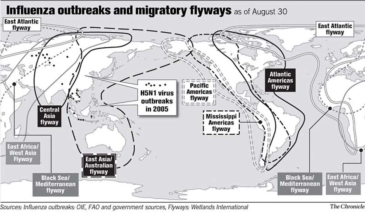 SACRAMENTO / U.S. preparing for bird flu to arrive from eastern Asia ...
