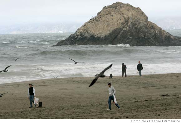 BAY AREA / Coastal Cleanup volunteers find there's plenty to pick up