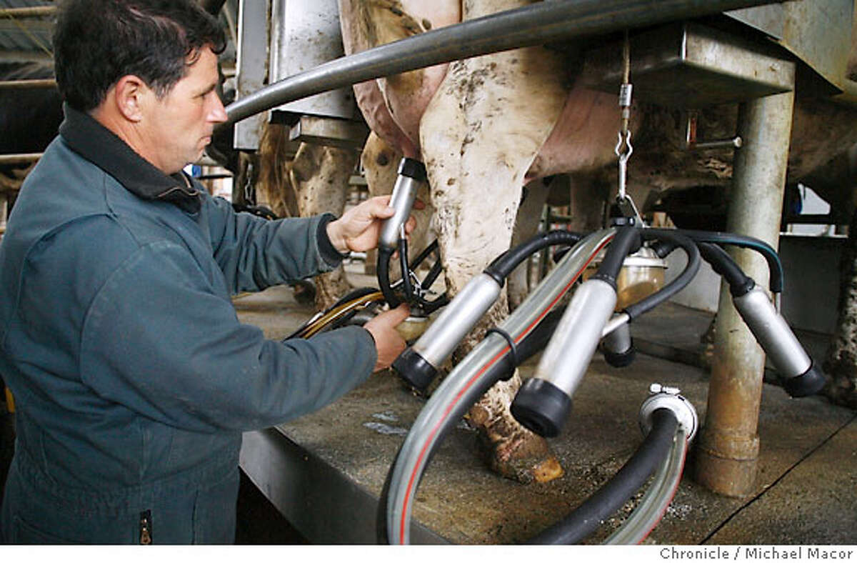 Got rbST in your milk? / Dairy co-op bows to pressure to stop use of ...