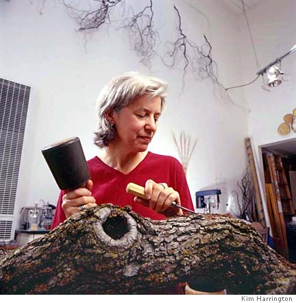 Historic fallen oak inspires artists to branch out
