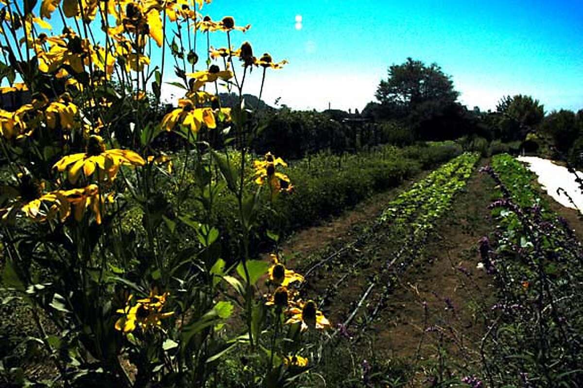 Santa Cruz County's cornucopia / Field dinners, farm tours, B&B on ...