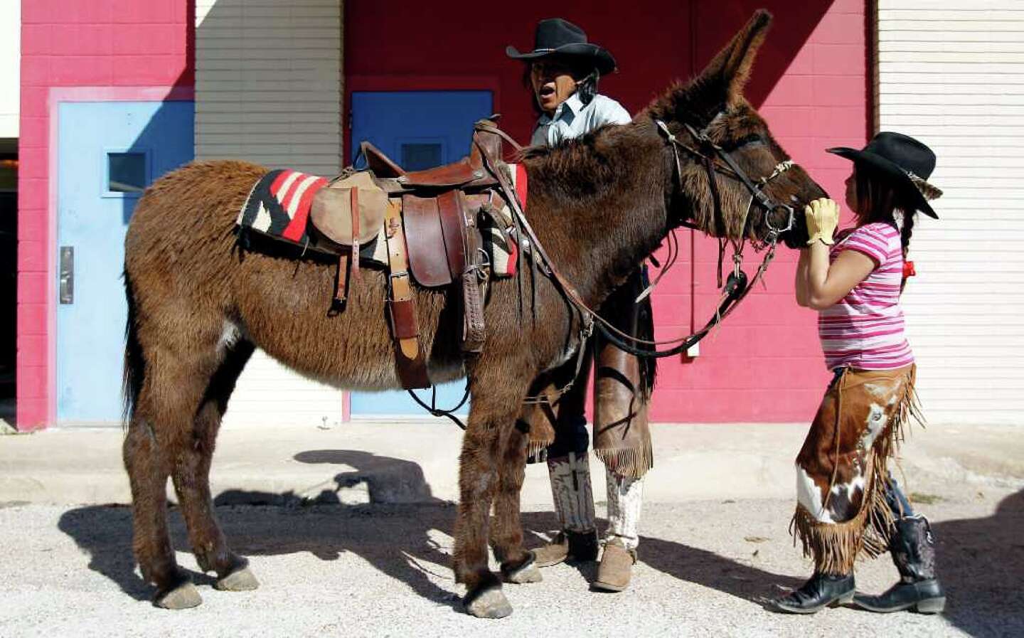 Fans protest wild donkeys being killed at Big Bend park
