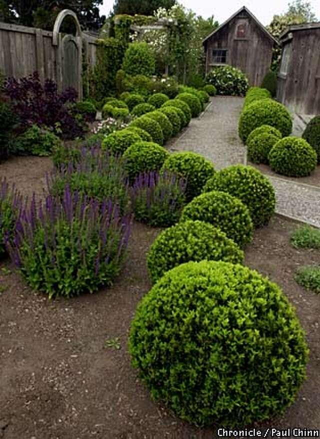 Plant geometry / Structure braces garden against Bolinas' winds