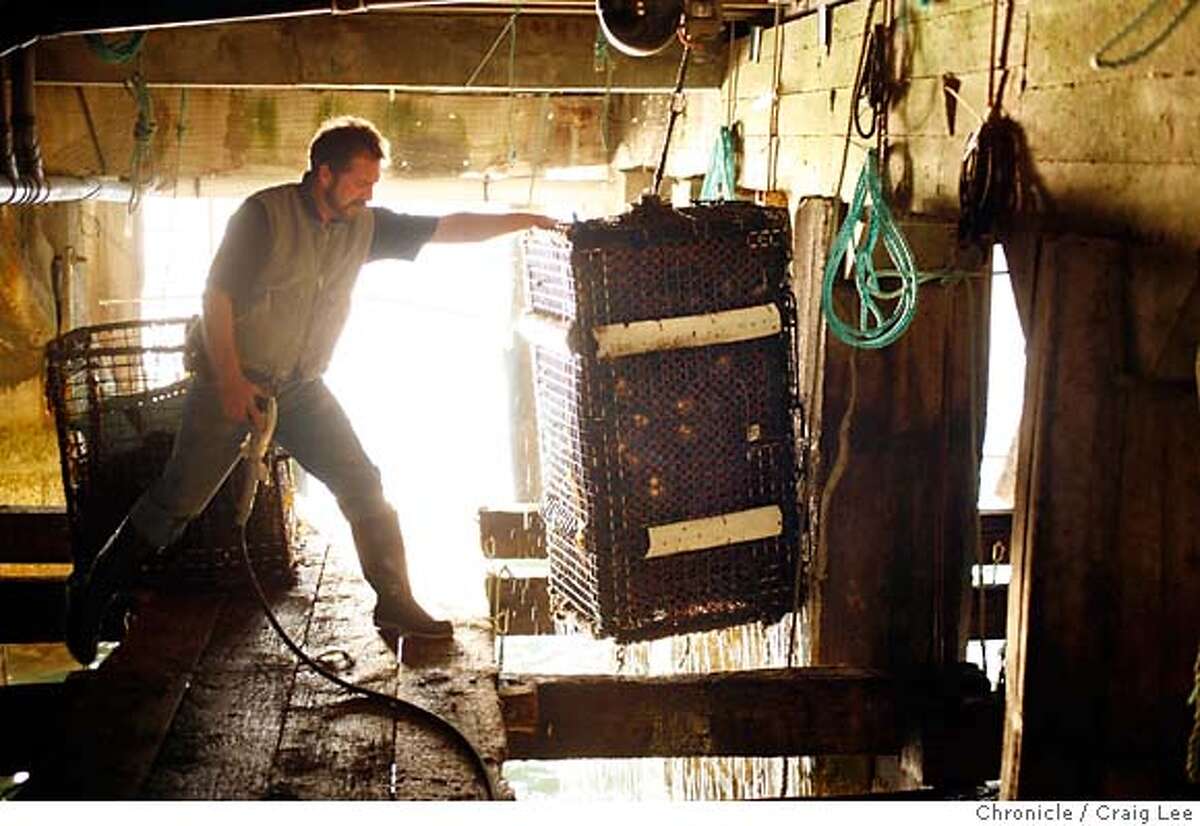 Abalone's luster grows / Eco-friendly aquaculture lures endangered ...