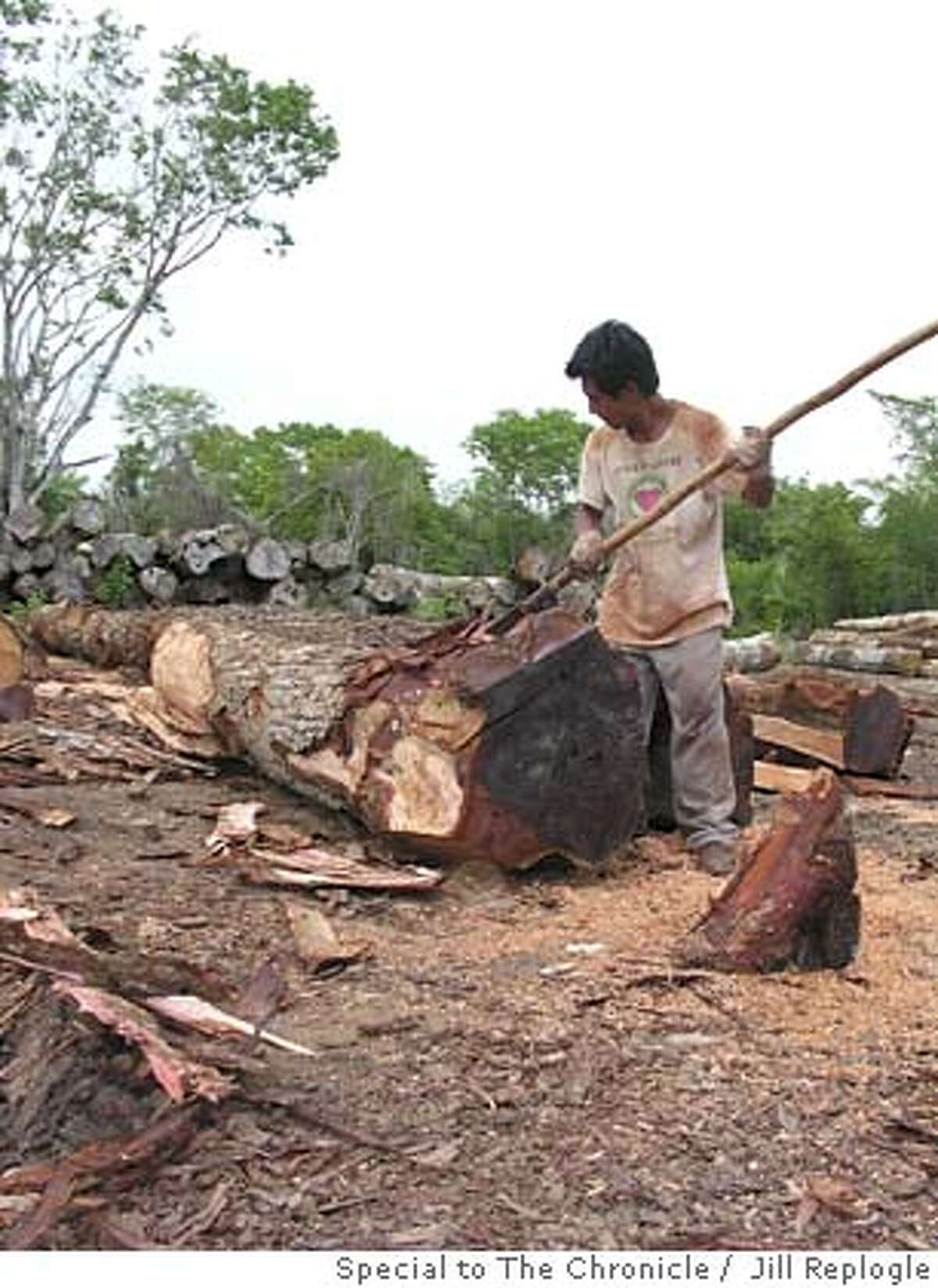 Village in Guatemalan rain forest thrives with ecological logging ...