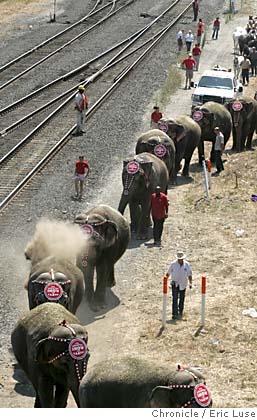 A real circus along Oakland train tracks