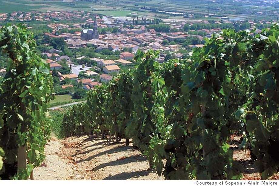 Rhone's Cornas cleans up its act - SFGate