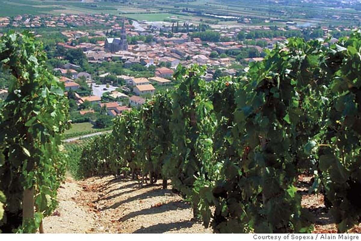 Rhone's Cornas cleans up its act