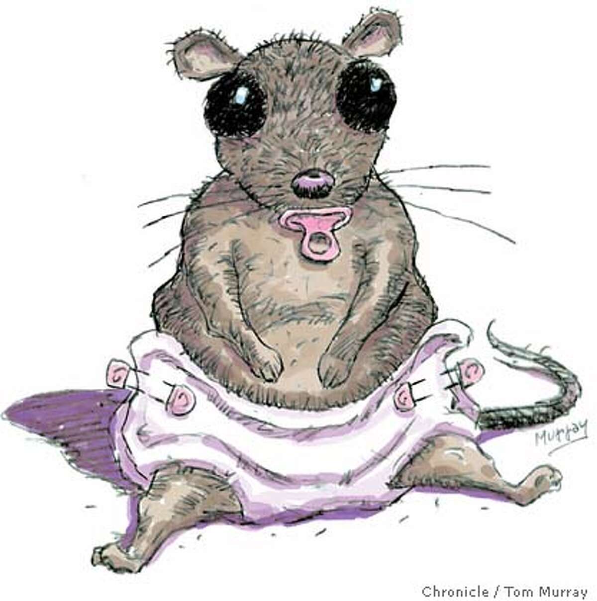 The Inner Mommy Rat / How our ratlike behavior benefits us