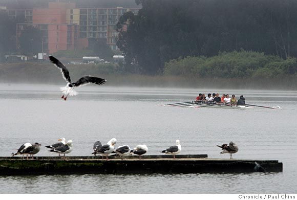 CITYWIDE / Master plan for Lake Merced / S.F. Beautiful grant goes to ...