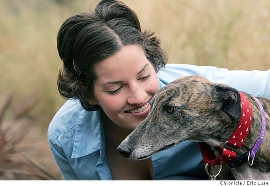 Saving greys / Rescue group saves ex-racing greyhounds from certain ...