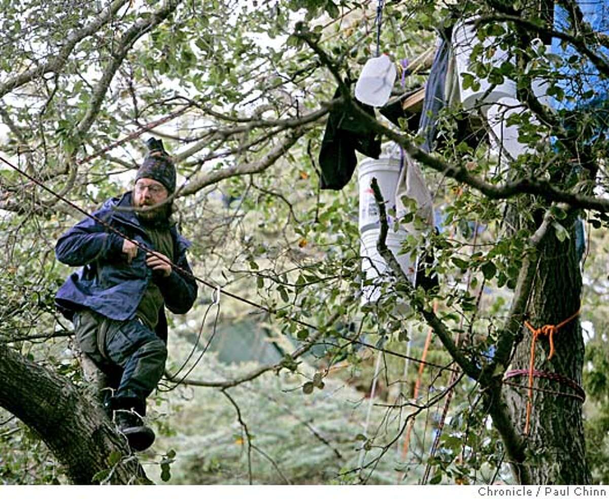 BERKELEY / Oak-tree activists' encampment cleared away by UC campus police