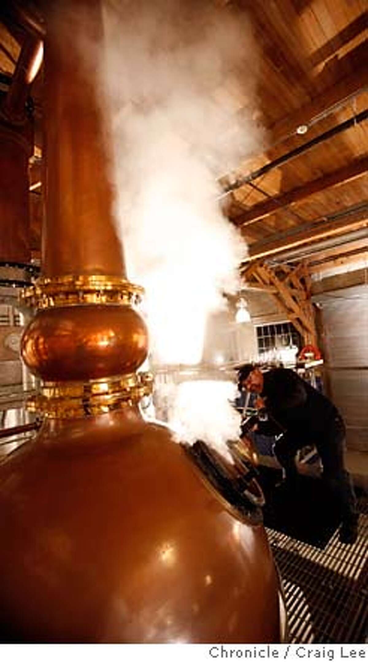 SPIRITS / The other white spirit / New flavorings could make gin the ...