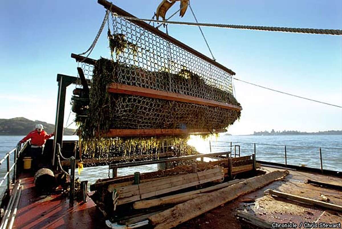 Fishing for flotsam / A dedicated crew pulls out everything from cups ...